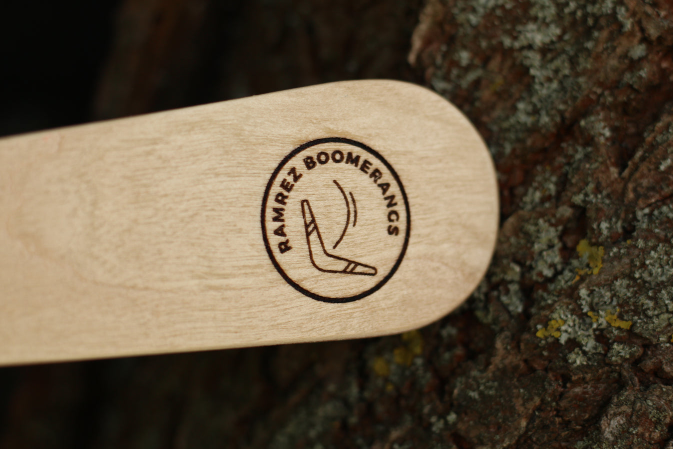 Tri-Blade Beginner Boomerang – RamRez Boomerangs